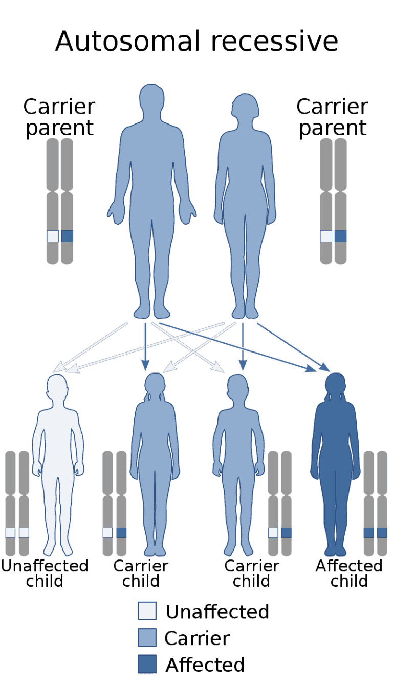 177 Most Rarest Diseases in the World