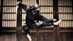 List of 184 Martial Arts